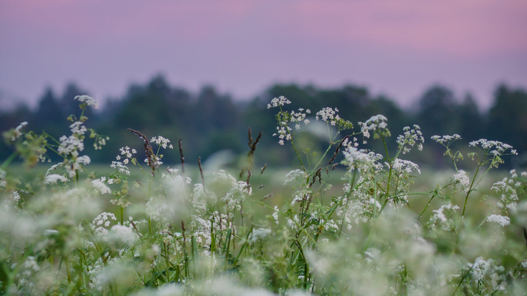 Safe Zones: Your Guide to Perfect Instagram Reels & Stories