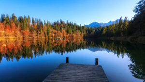Safe Zones: Your Guide to Perfect Instagram Reels & Stories
